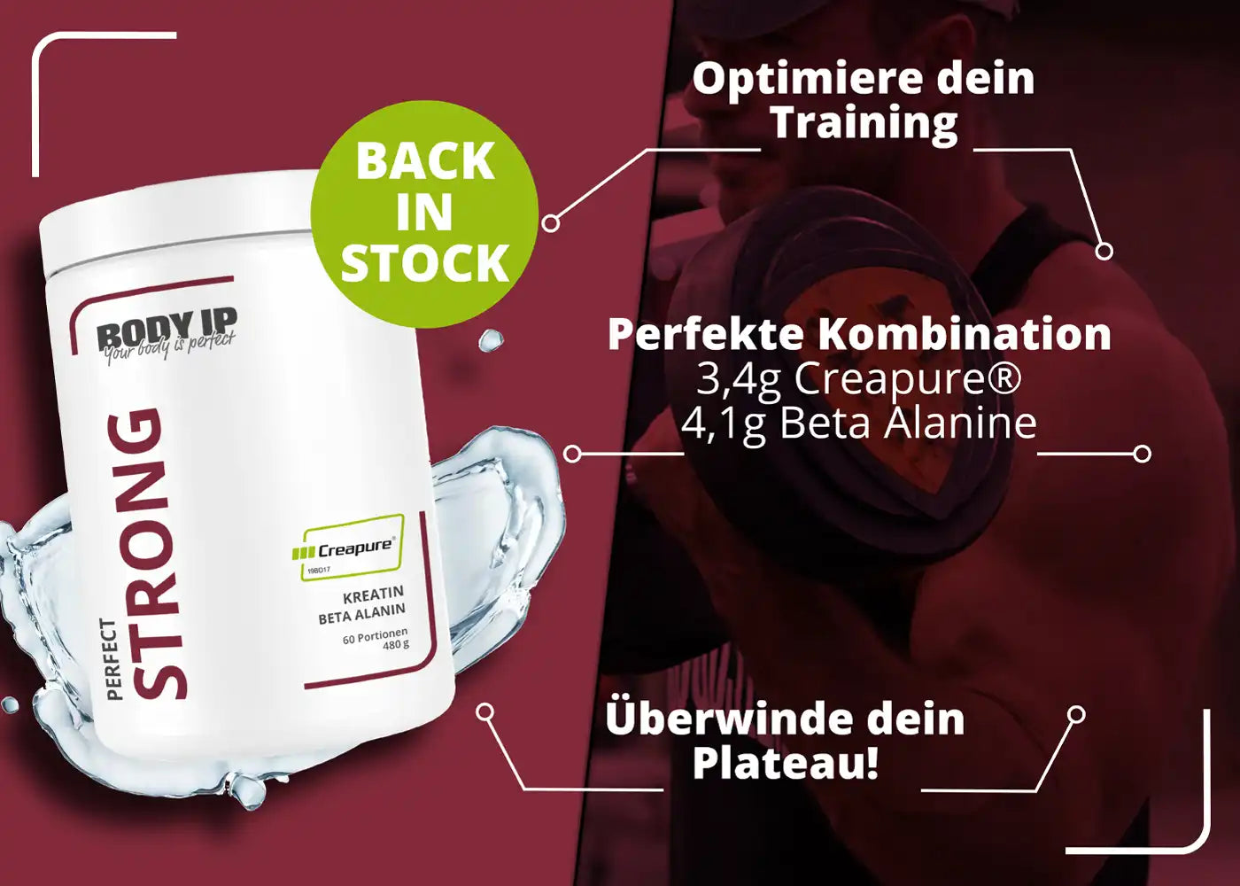 BODY IP - your body is perfect